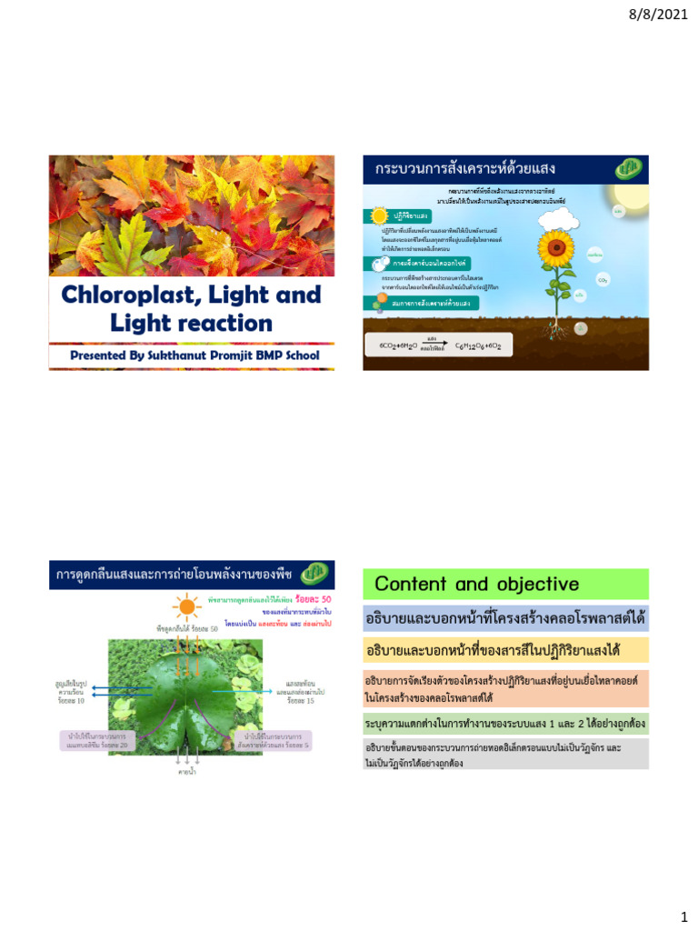 2 Light and Chloroplast Light Reaction | PDF
