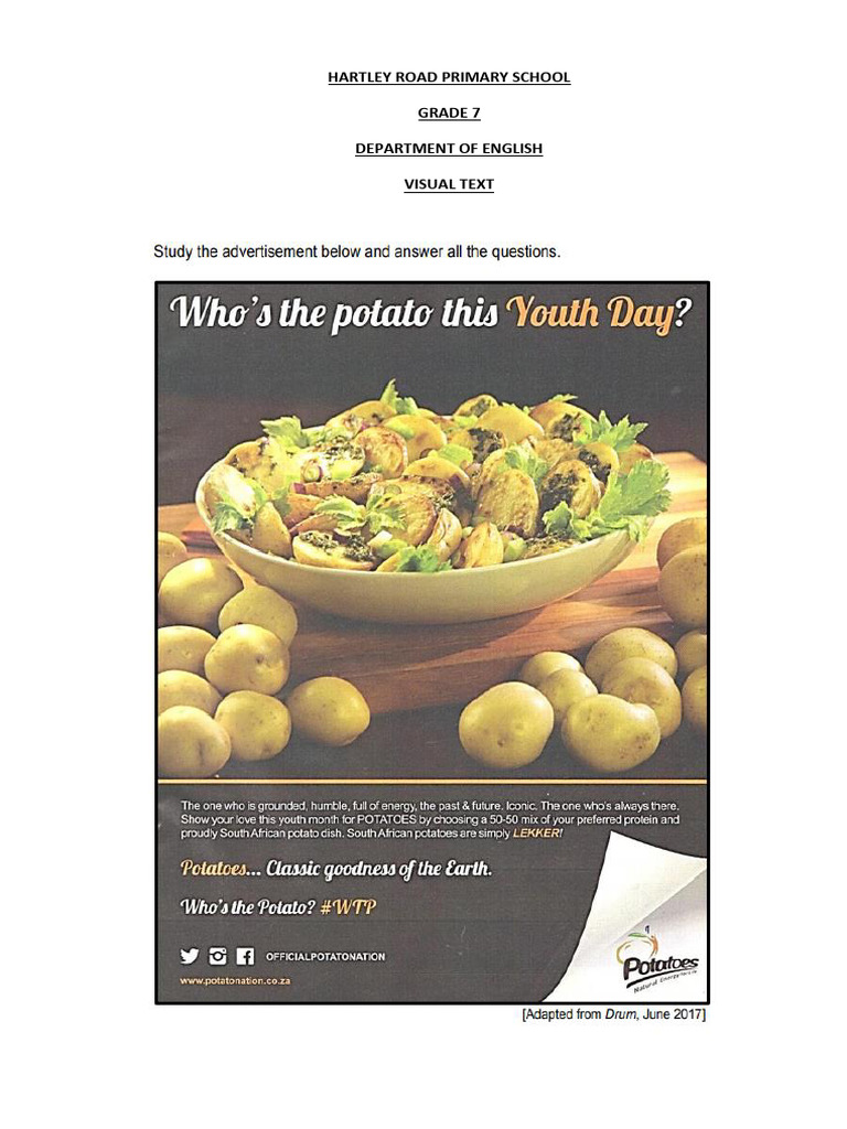 Grade 7 English Visual Text Analysis | PDF