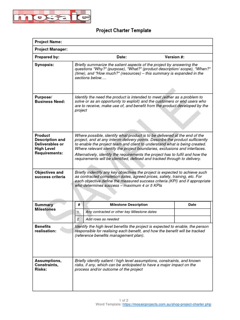 Project_Charter_Sample | PDF | Project Management | Business