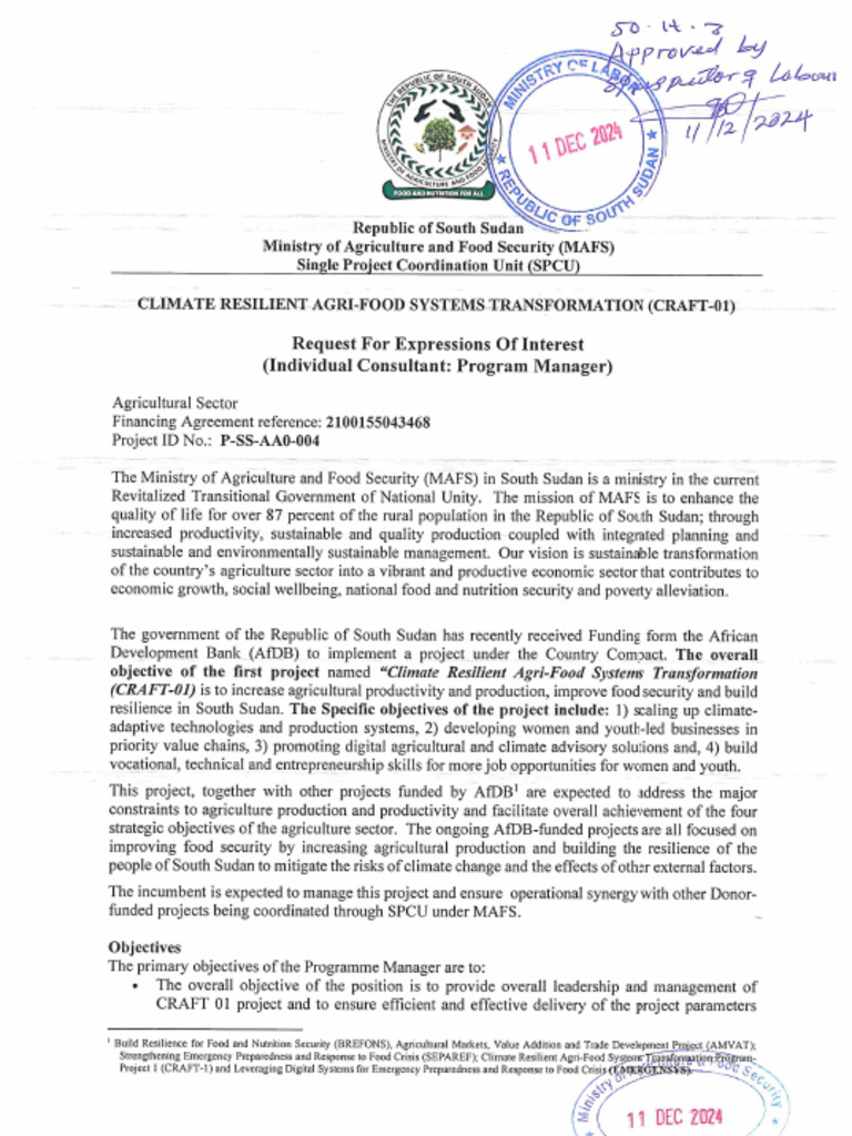 REoI - Program Manager | PDF