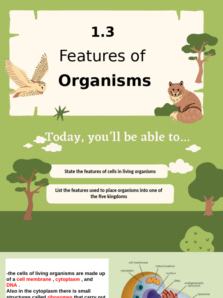 1.3 Classifying Organisms | PDF | Cell (Biology) | Bacteria