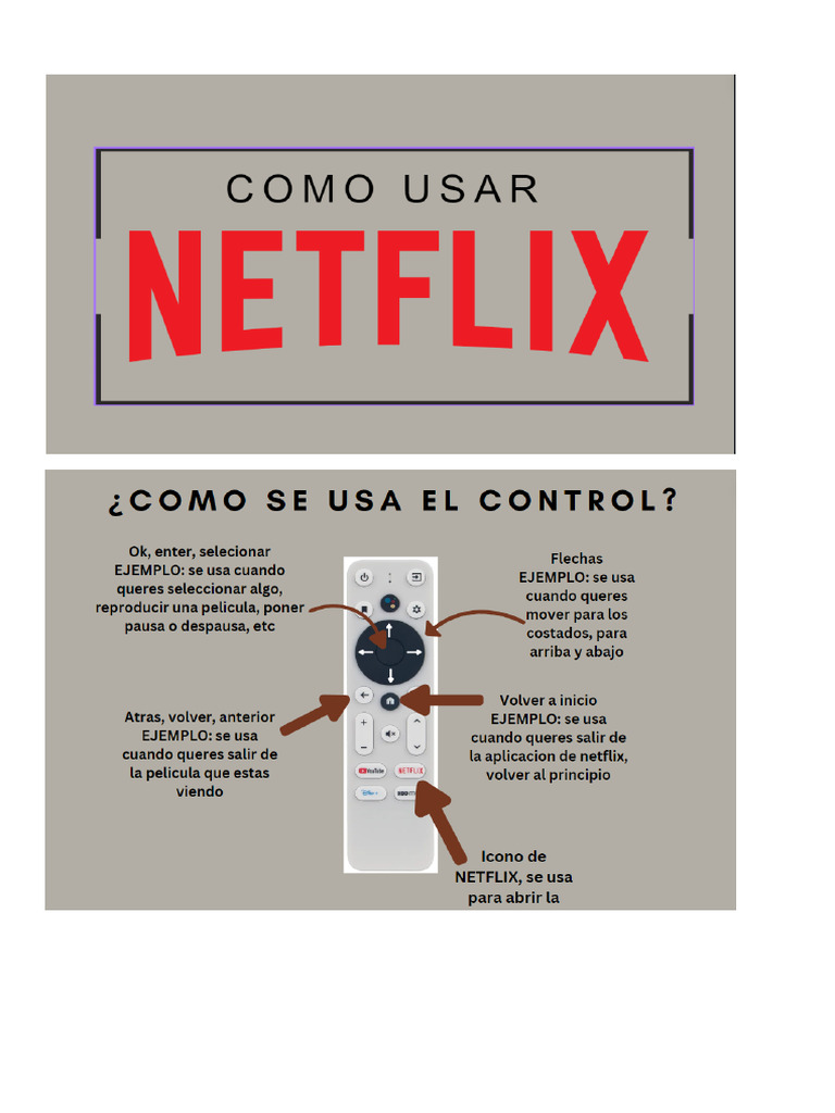 Cómo Usar Netflix | PDF