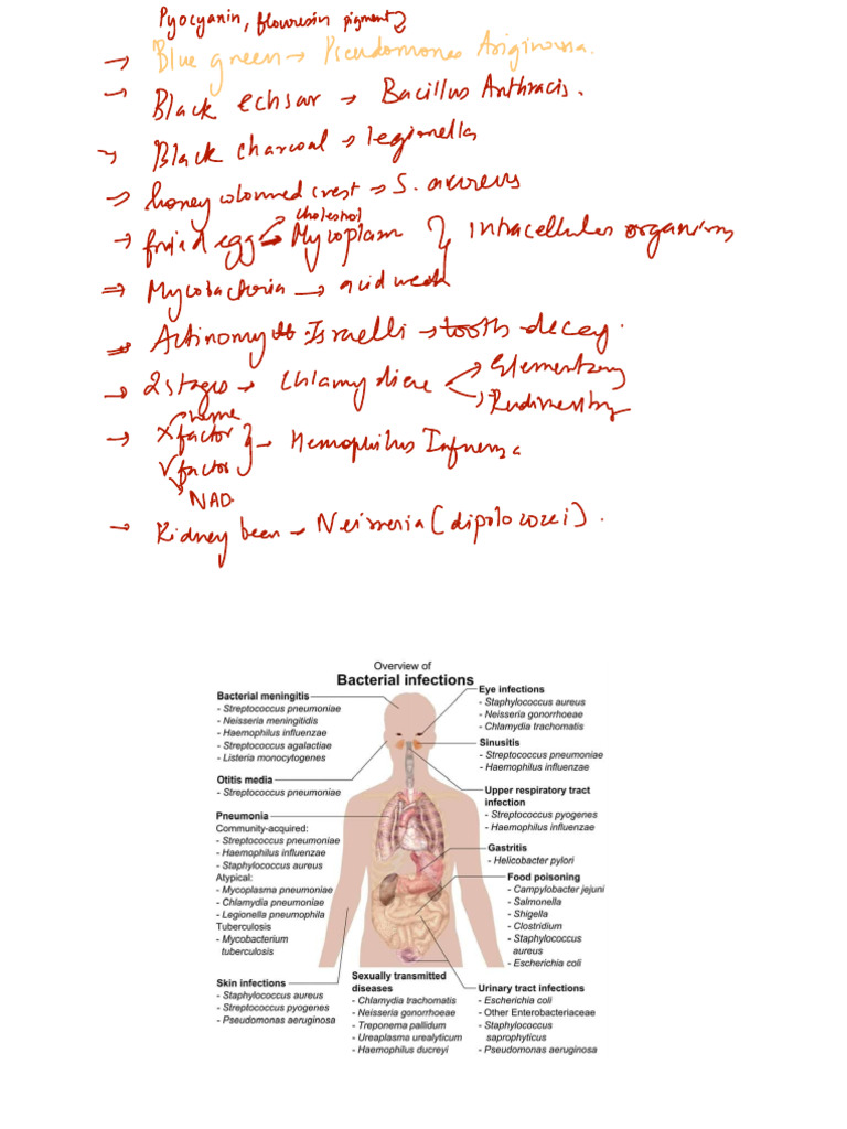 Body system infections | PDF | Pneumonia | Urinary Tract Infection
