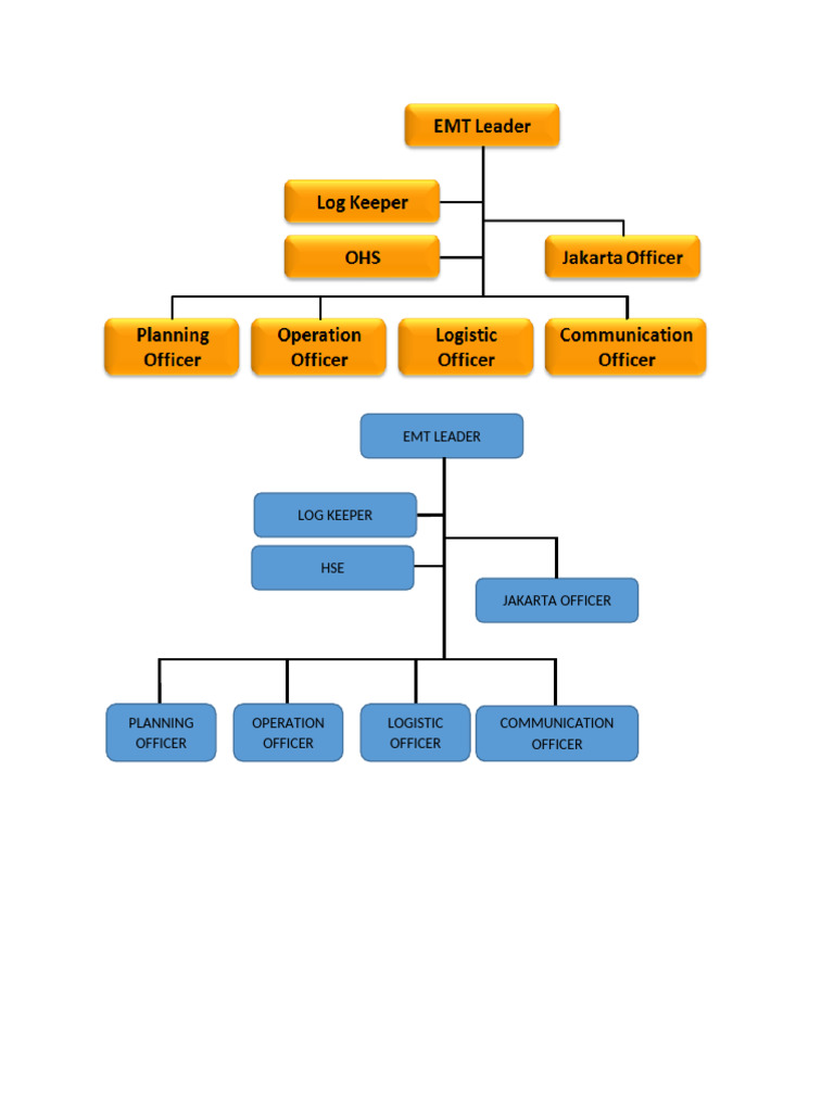 Flow Chart EMT | PDF