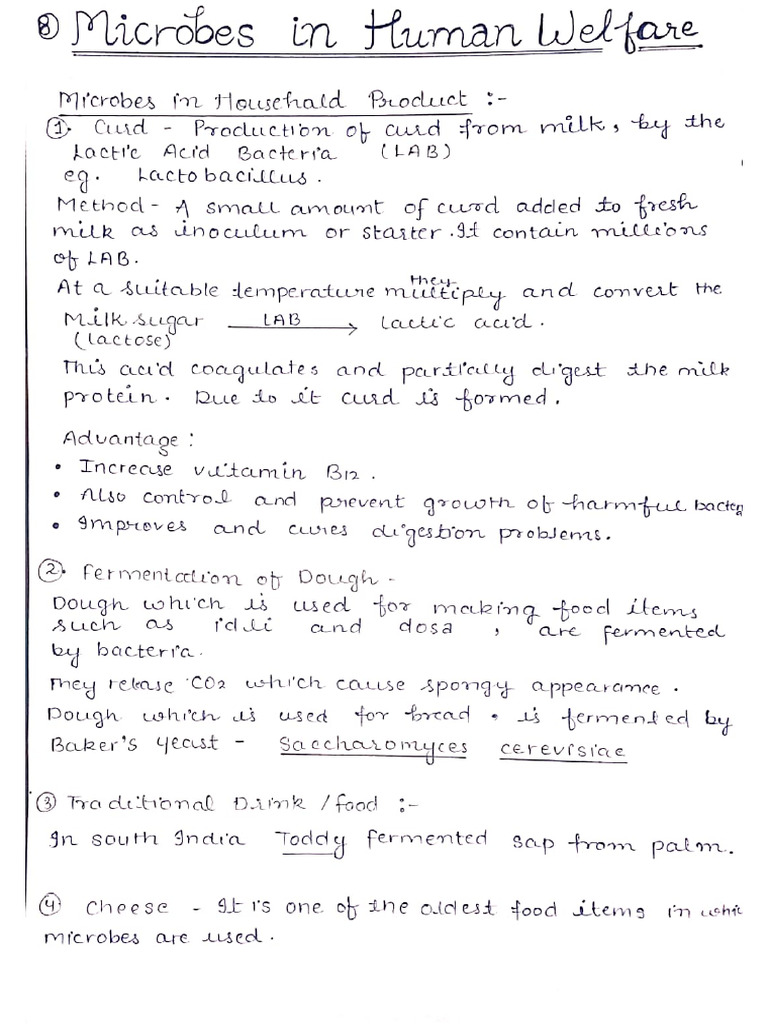 Microbes in Human Welfare Class 12th NEET | PDF