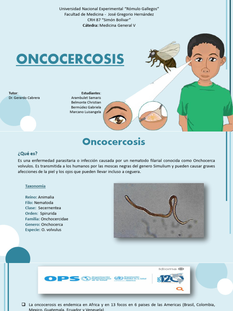 Oncocercosis: Causas y Tratamiento | PDF | Enfermedades y trastornos ...