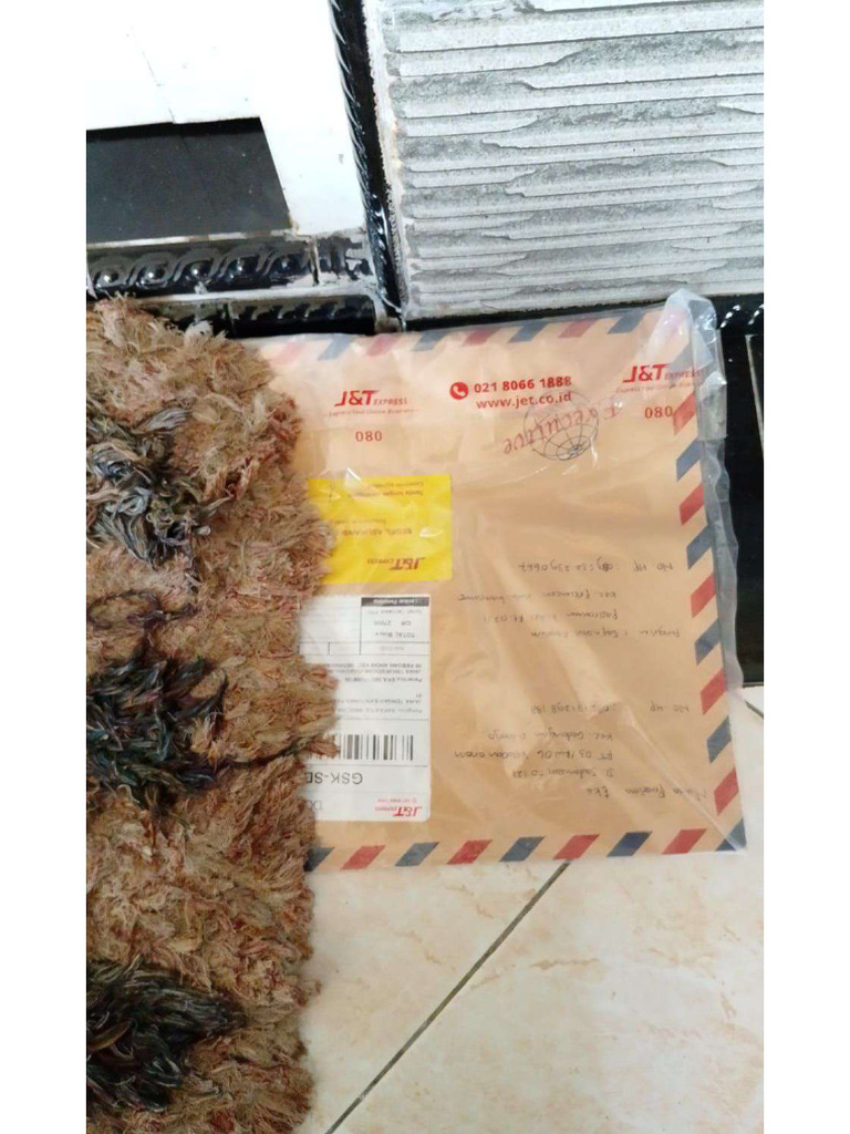 IMG-20241223-WA0001 | PDF