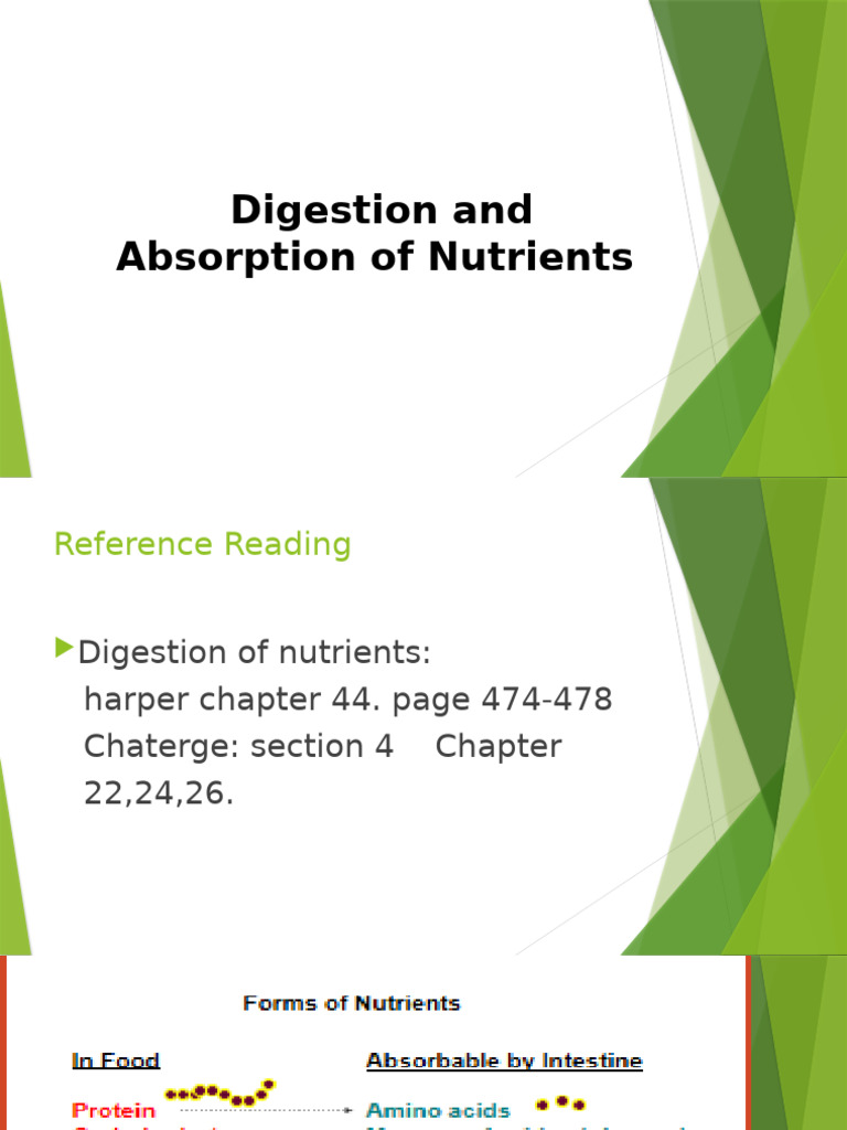 Digestion & Absorption Nutrients | PDF | Digestion | Pancreas