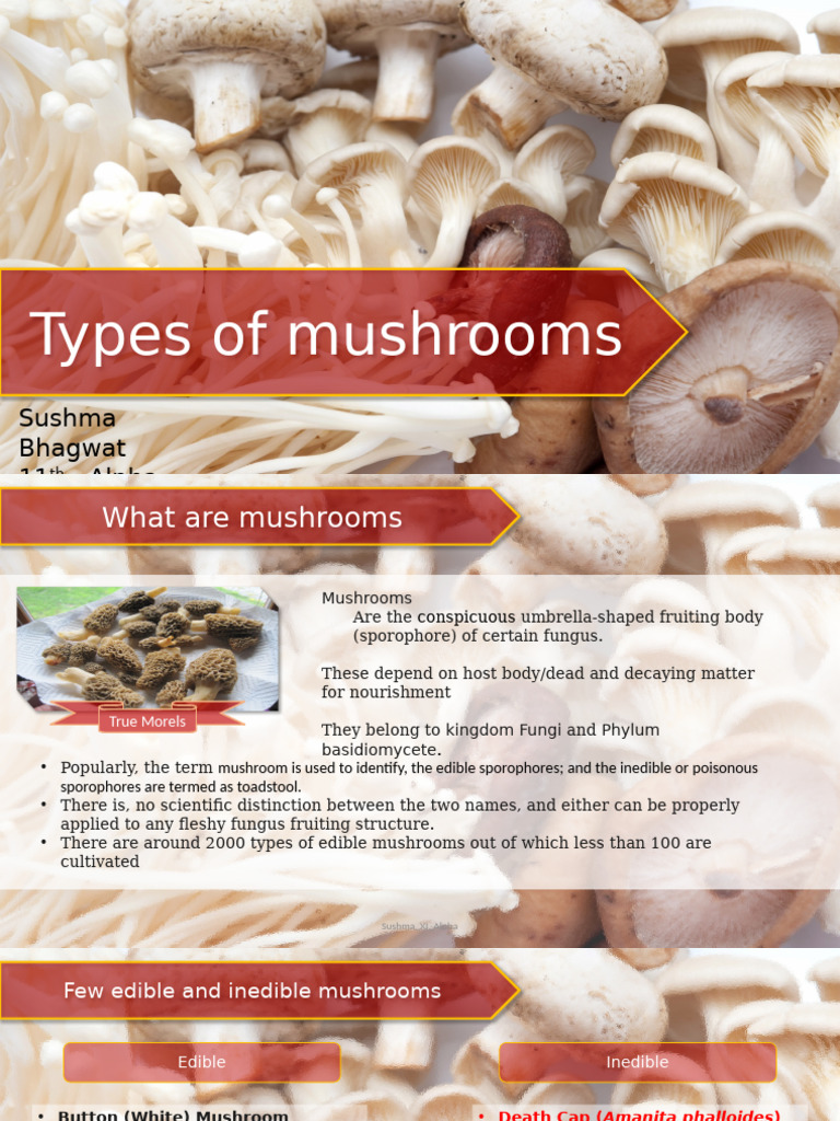 Mushroom Types and Nutrition Modes | PDF | Mushroom | Fungus