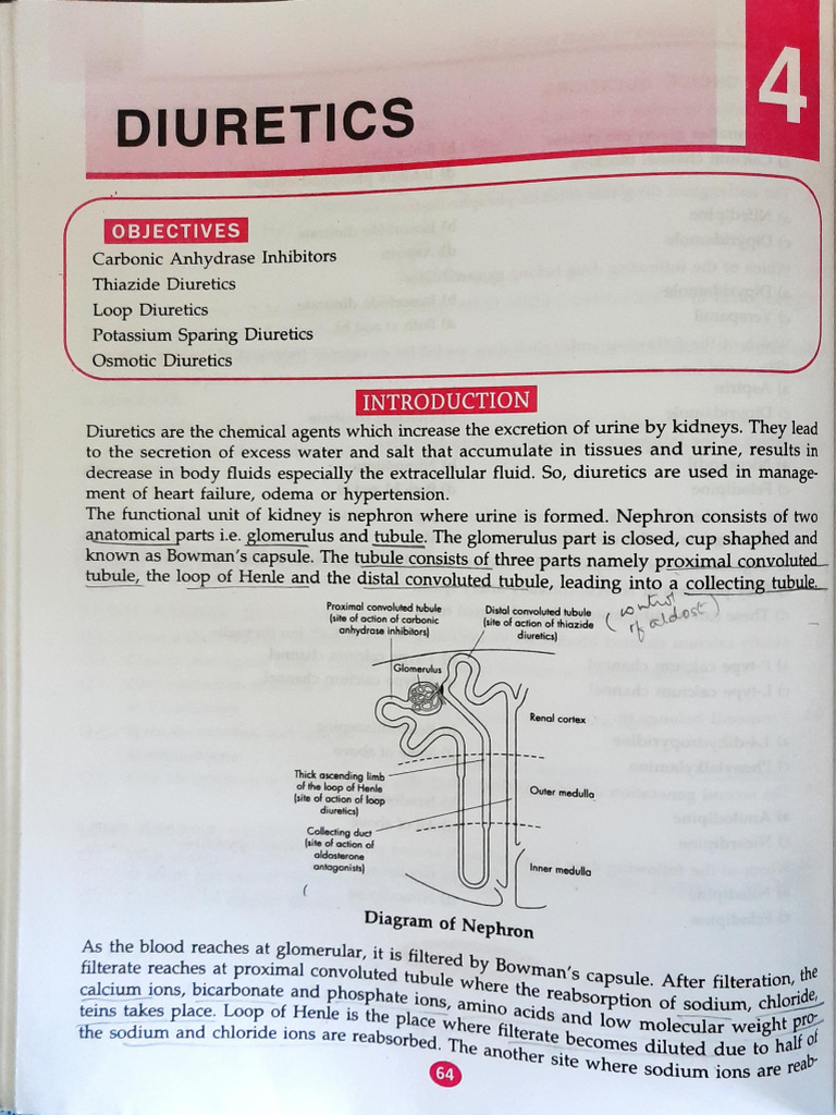 934_Chapter-4 Diuretics | PDF
