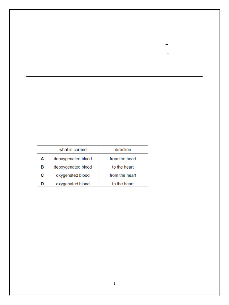 Circulatory System Final | PDF | Heart | Ventricle (Heart)