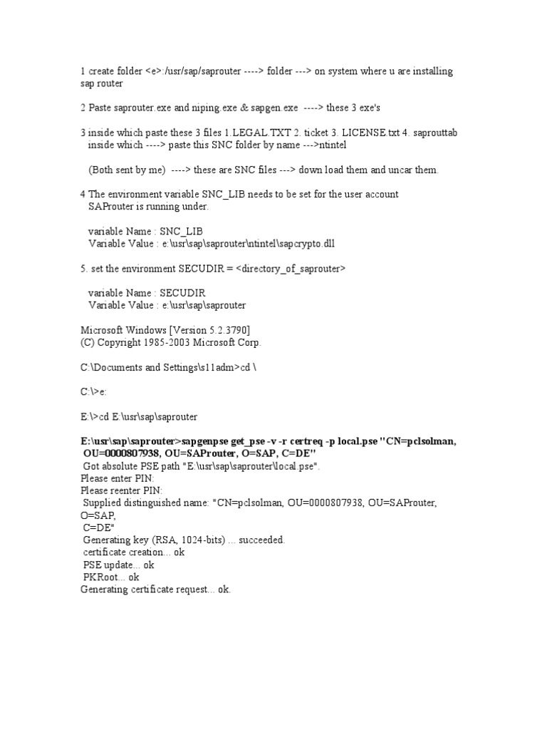 Inst Steps Sap Router | PDF | Computer File | Directory (Computing)