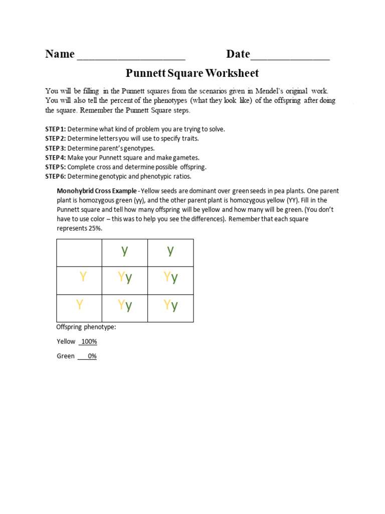 Punnett Square Worksheet | PDF | Dominance (Genetics) | Genotype