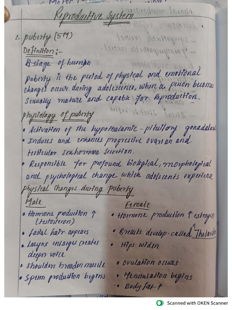 Reproductive System Pdf
