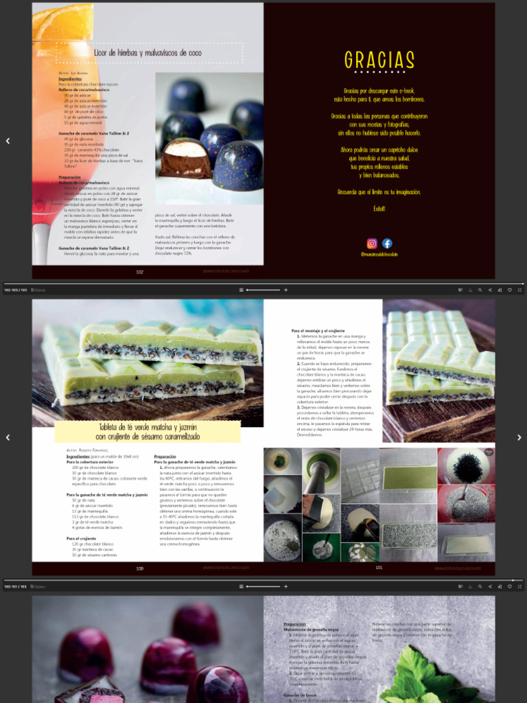 Libro | PDF