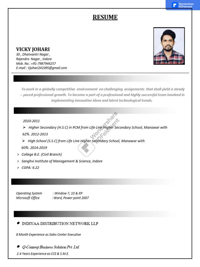 Vicky Resume 2024 | PDF