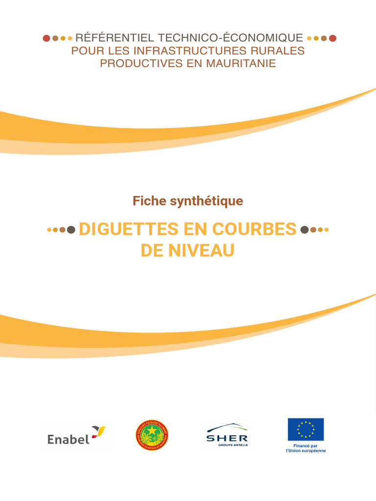 FICHE SYNTH - Diguettes CN | PDF