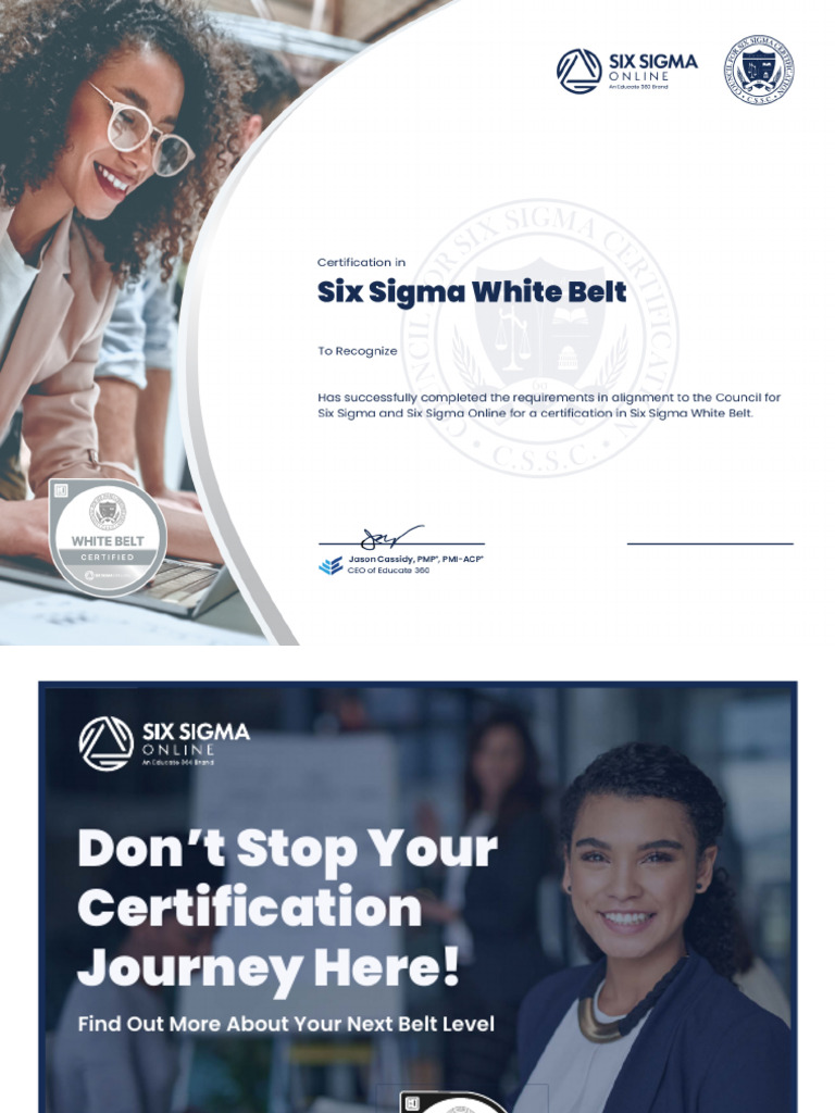 Six Sigma | PDF