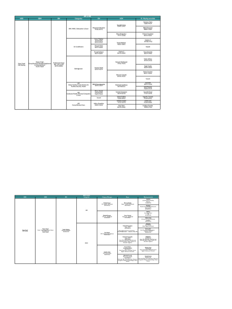 Buying Hierarchy 100124 - V1.3 | PDF | Consumer Goods