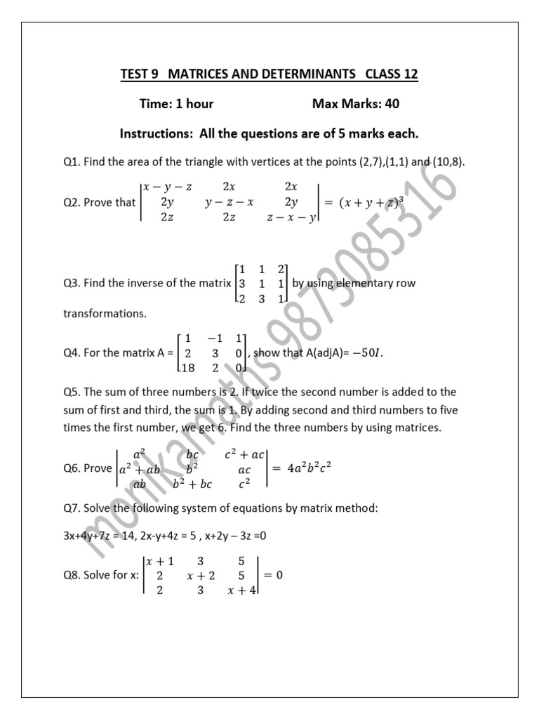 Test 9 Matrices and Determinants | PDF