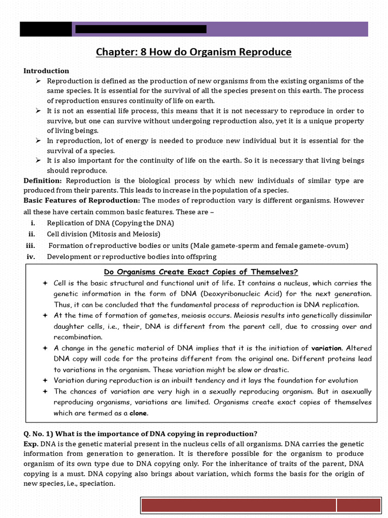 Chapt 8 How Do Organism Reproduce | PDF | Seed | Flowers