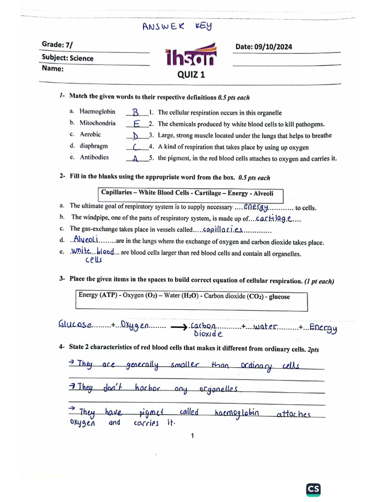7th Grade first quiz answer key (1) | PDF