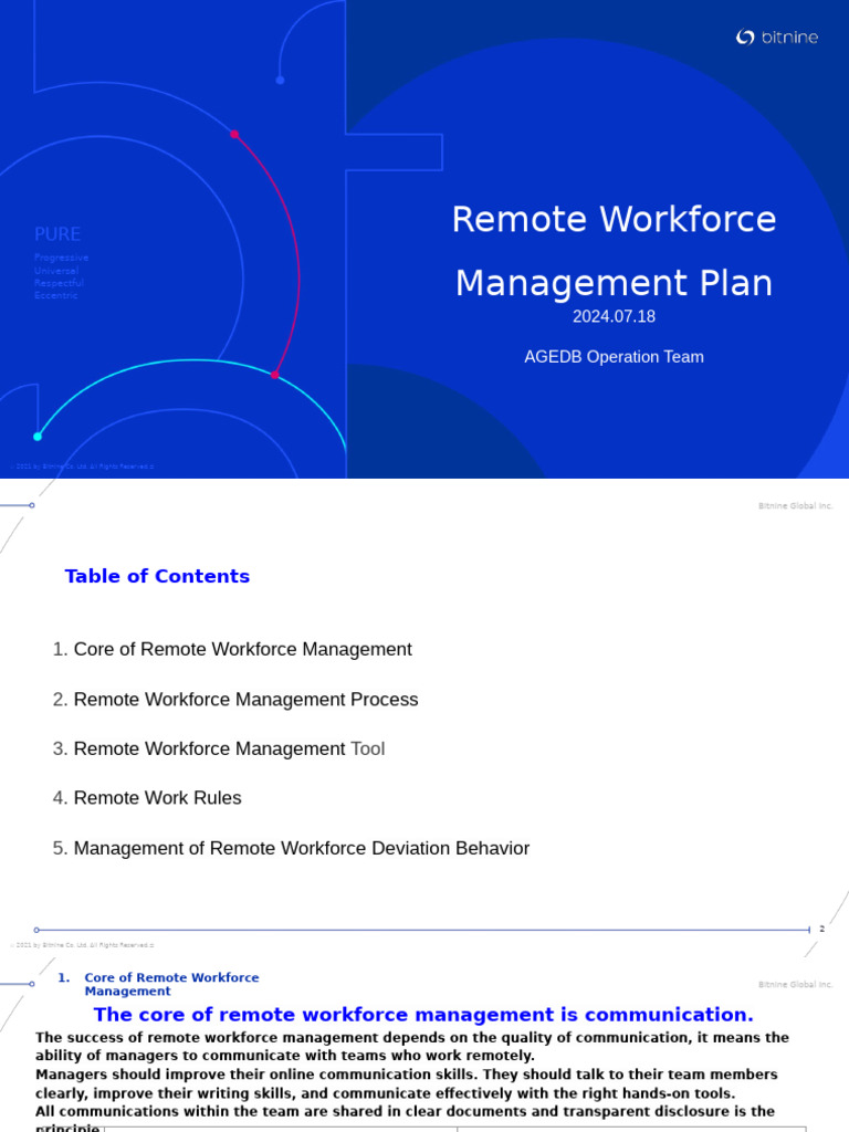 Remote Workforce Management Plan (Pakistan) - AGEDB Operation1 | PDF
