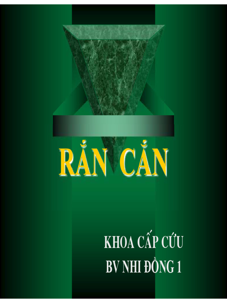 Ran Can 2023 | PDF