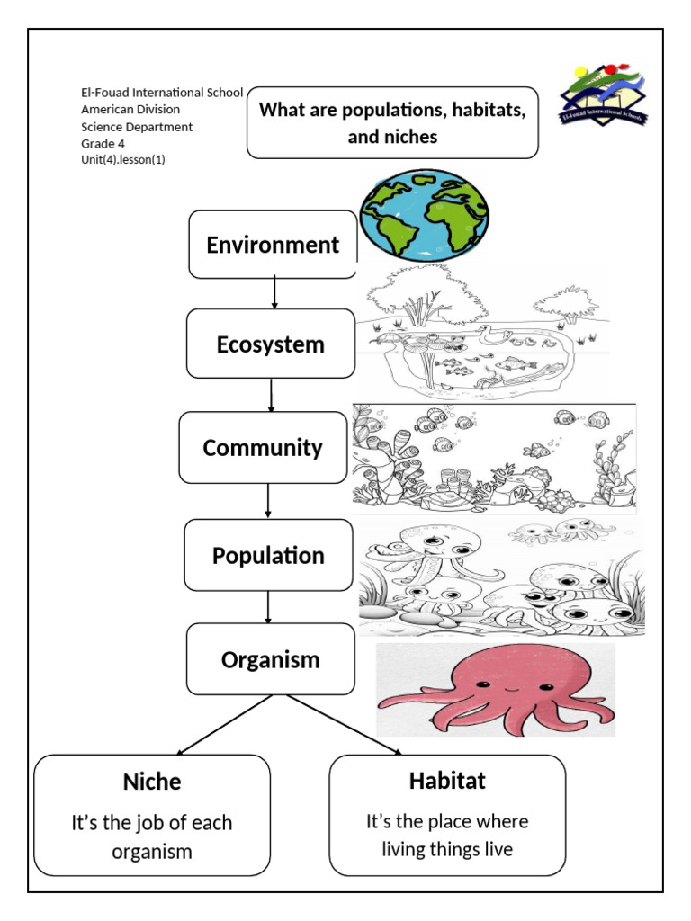 Grade 4 Science: Ecosystems Basics | PDF