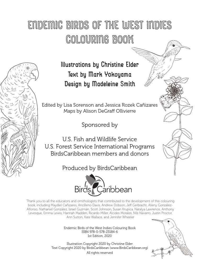 Endemic Bird Colouring Book Pages | PDF | Birds | Ornithology