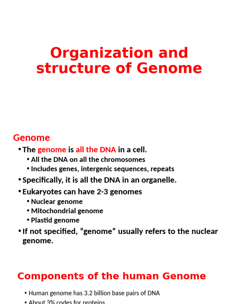 Orgnization and structue of Genome | PDF | Genome | Nucleic Acid Double ...