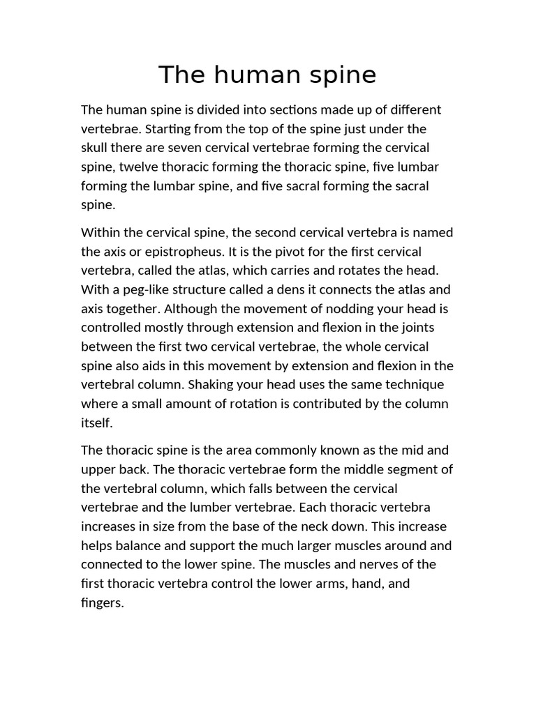 The Human Spine Pdf Vertebral Column Vertebra