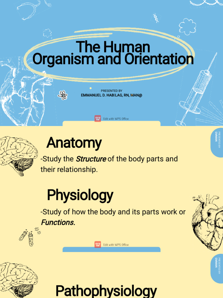 Anatomy and Physiology Overview | PDF | Anatomical Terms Of Location ...