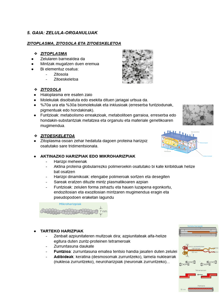 ZELULA-ORGANULUAK | PDF