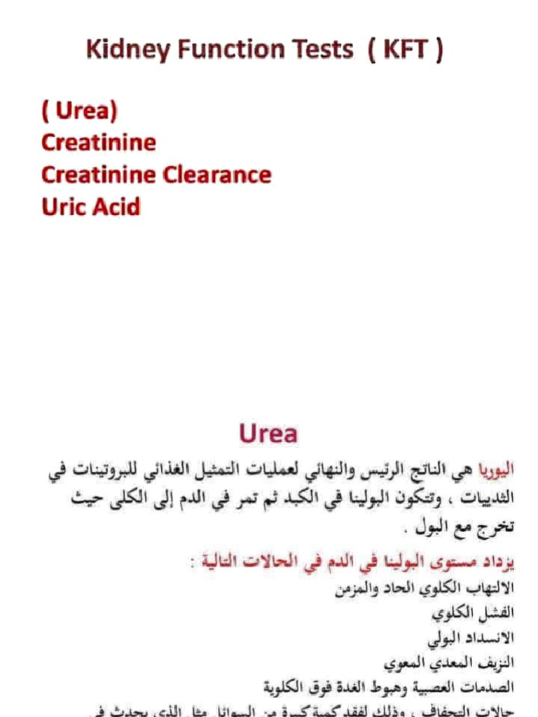 Kidney Function Test | PDF