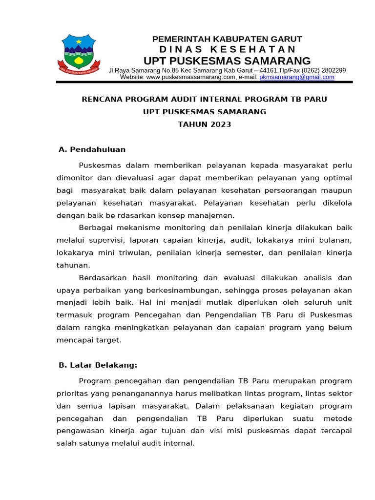 Rencana Audit Internal Program TB Paru 2023 | PDF