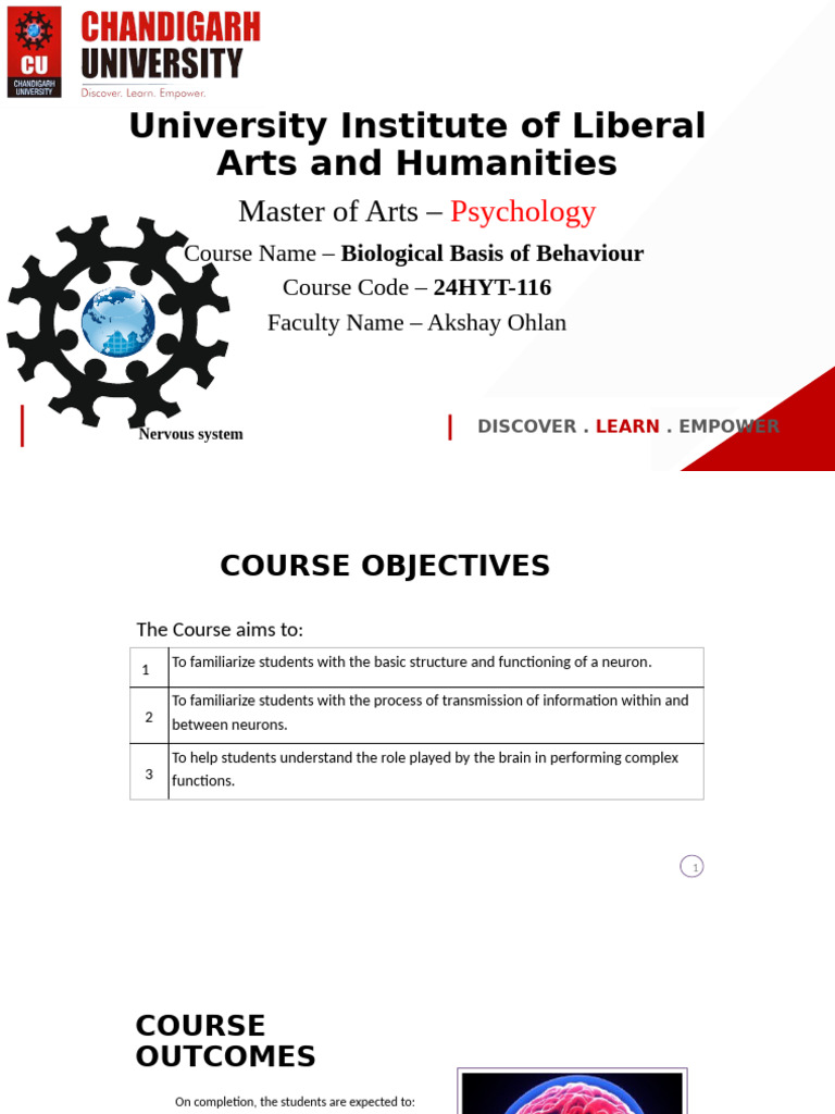 Major Divisions of The Nervous System | PDF | Anatomical Terms Of ...