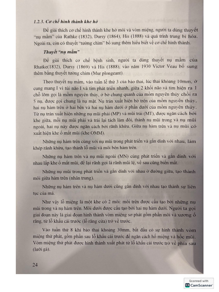 Khe hở môi vòm miệng | PDF