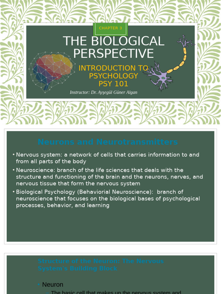 Psy 101 Chapter 3 Biological Perspective | PDF | Neurotransmitter ...