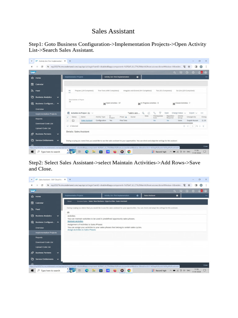 Sales Assistant Configuration | PDF