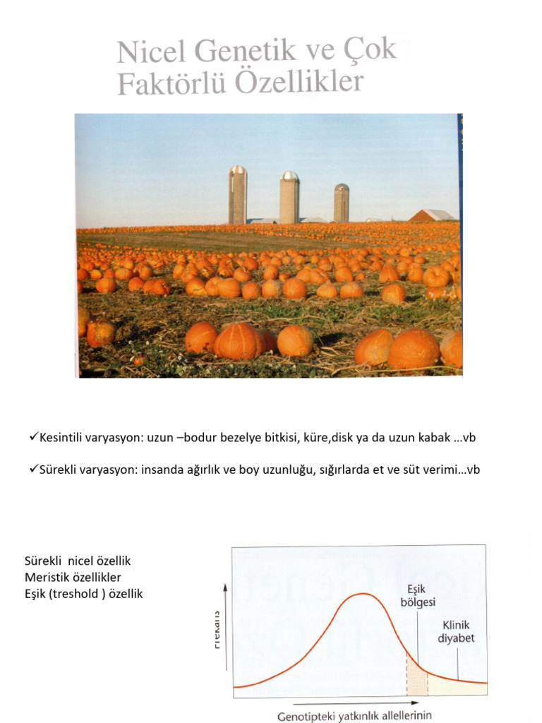 Nicel Genetik | PDF