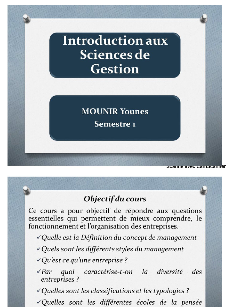 Introduction Aux Sciences de Gestion | PDF