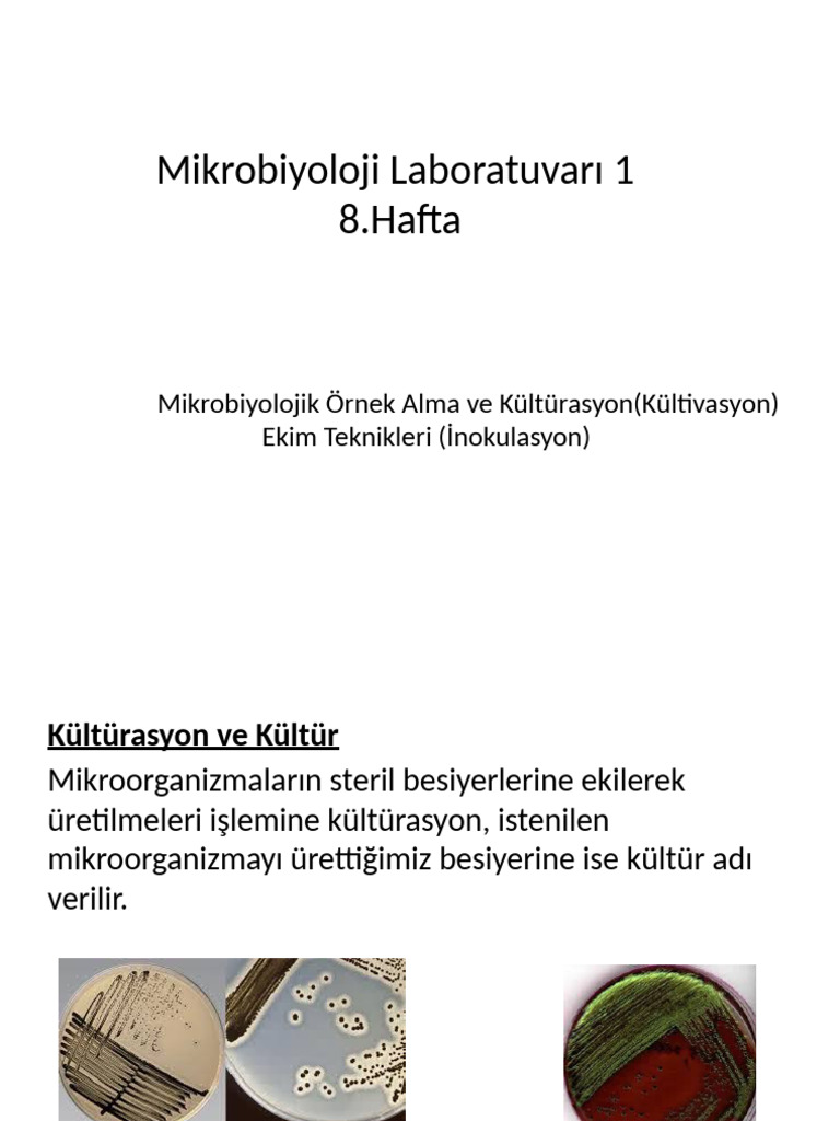 Microbiology Lab | PDF