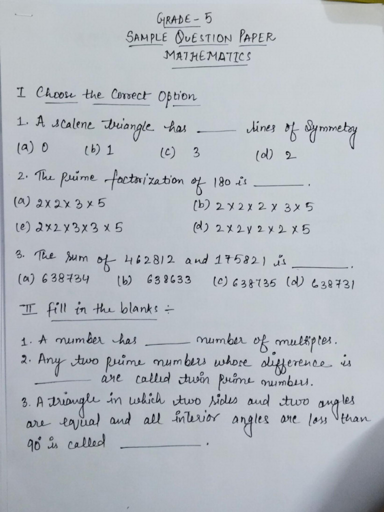 Grade 5 Math Revision Worksheet | PDF