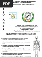 Anatomie Du Squelette | PDF | Colonne vertébrale | Vertèbre