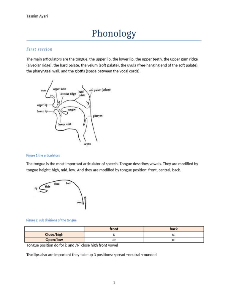 Phonology | PDF | Vowel | Phoneme
