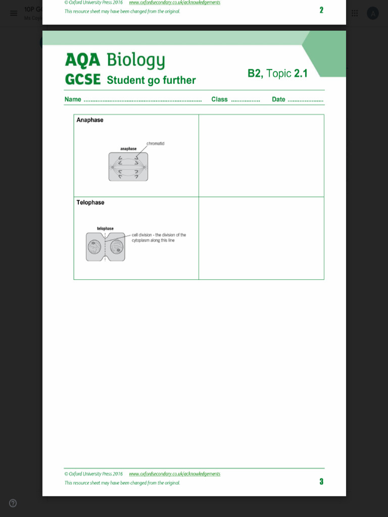 B2.1 Cell Division | PDF