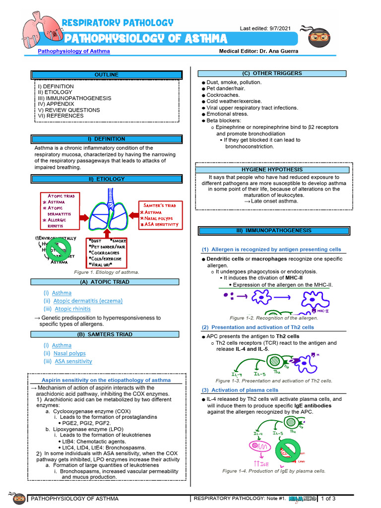 Asthma Pathophysiology Atf | PDF | Asthma | Immunology