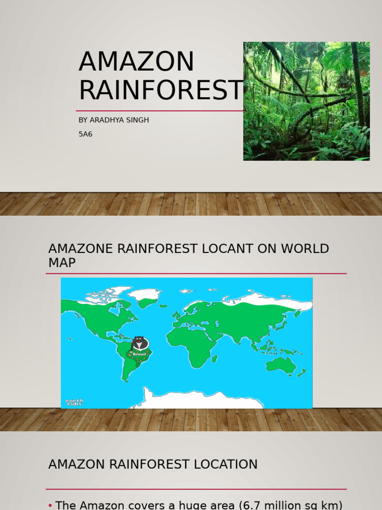 Aradhya Singh 5a6 PPT Amazon Rainforest | PDF | Amazon Rainforest ...