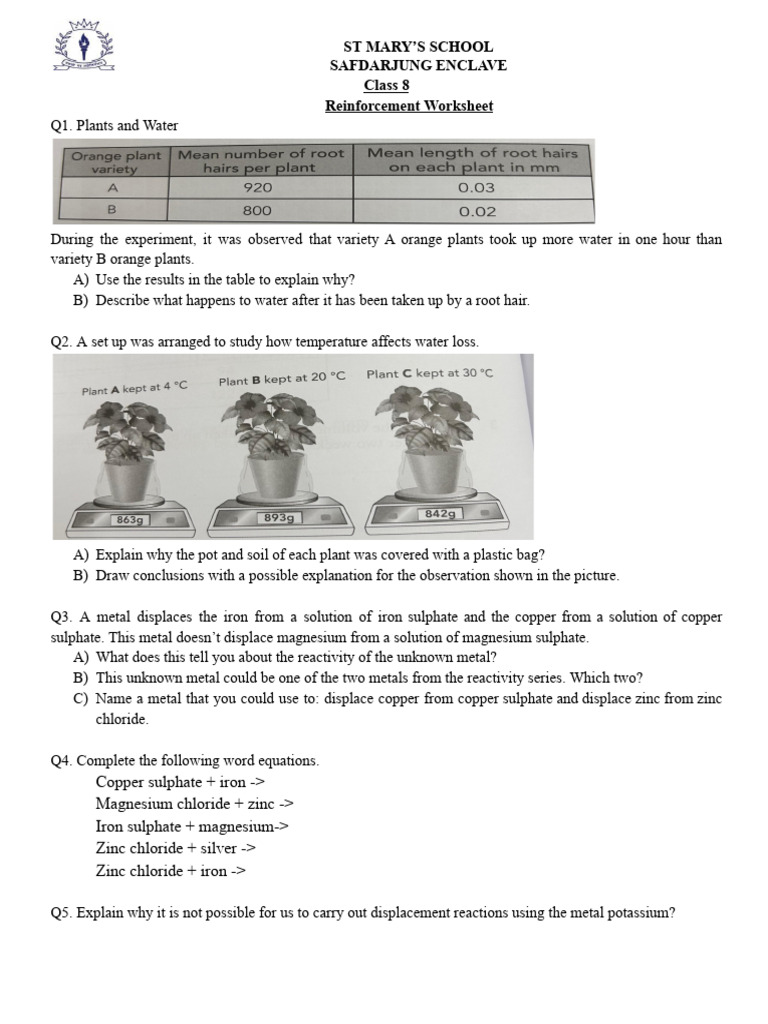 Class 8- Practice Worksheet | PDF